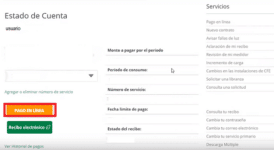 Cómo pagar el recibo CFE en línea. Guía paso a paso.