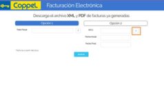 Cómo pagar Coppel en línea. Facturación, crédito, abono.