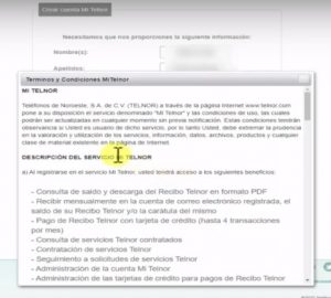 Pago en línea TELNOR. Descarga e impresión de recibo.