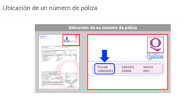 ¿Cómo pagar el seguro Quálitas en línea?