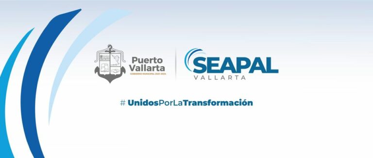 SEAPAL pago en línea: Guía instructiva actualizada